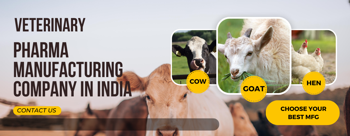 Veterinary Pharma Companies in India - Veterinary Pharma Companies in India